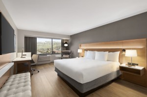 Choice Hotels Redefines Upscale Hospitality with Bold Radisson Rebrand ...